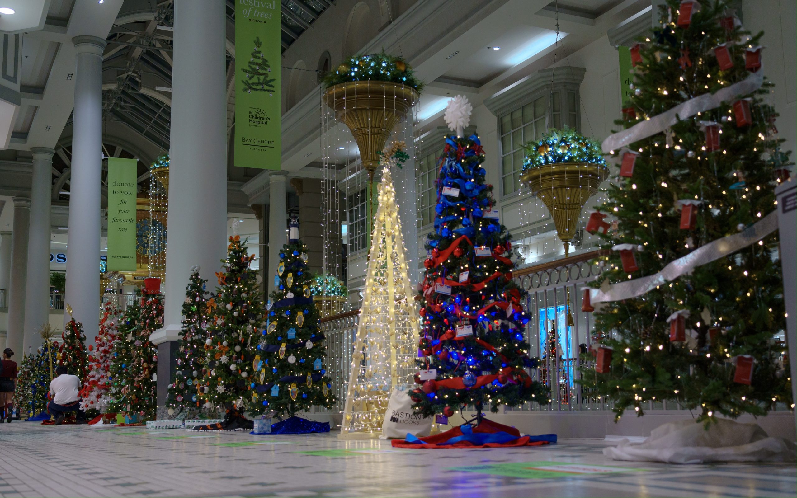 Here’s how you can vote for your favourite tree at Festival of Trees ...